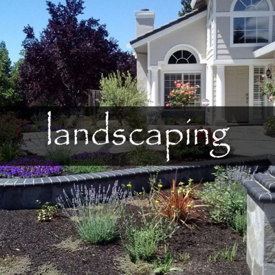 Home [www.arreolalandscaping.com]